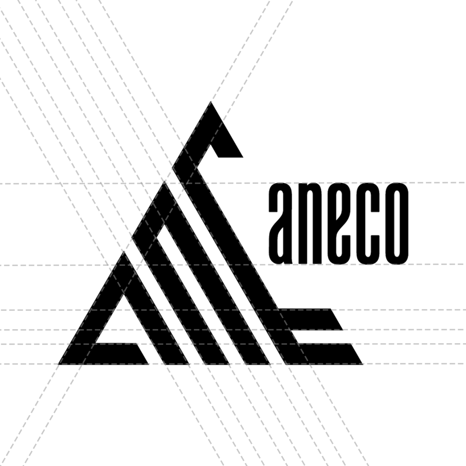 ANECO BRANDING - Portfolio | Cerostech | Digital Agency Pakistan